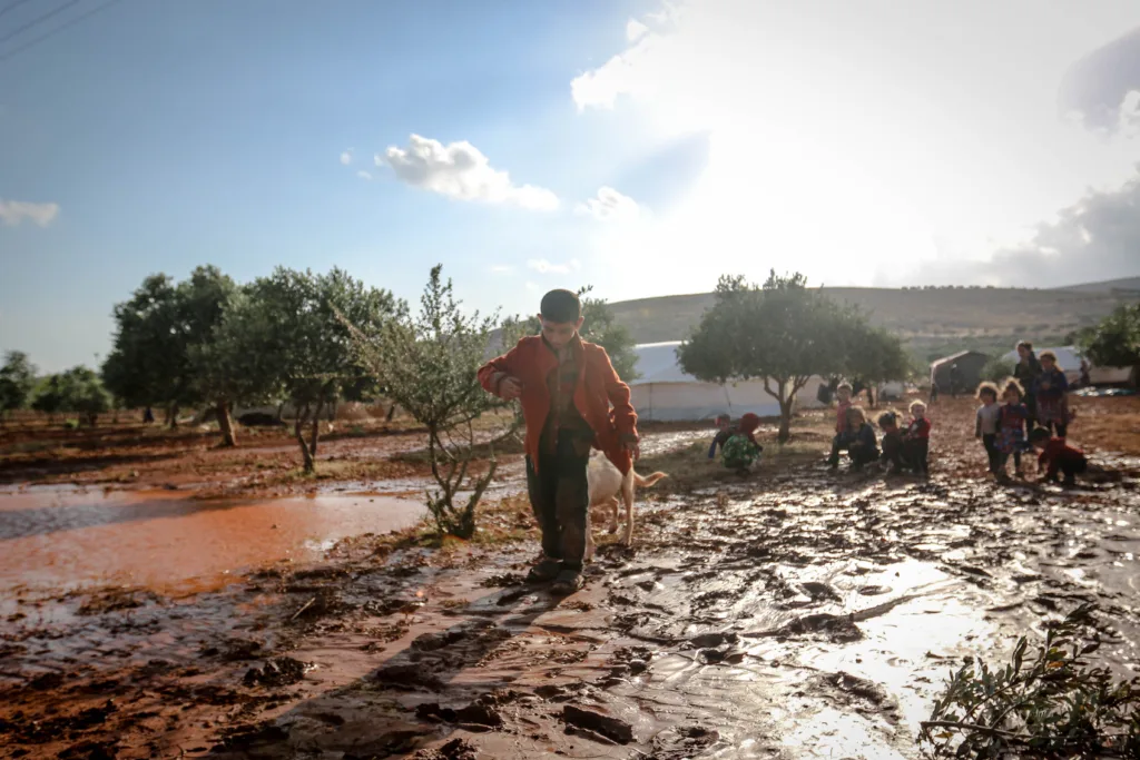 How To Plant A Tree In Poor Soil